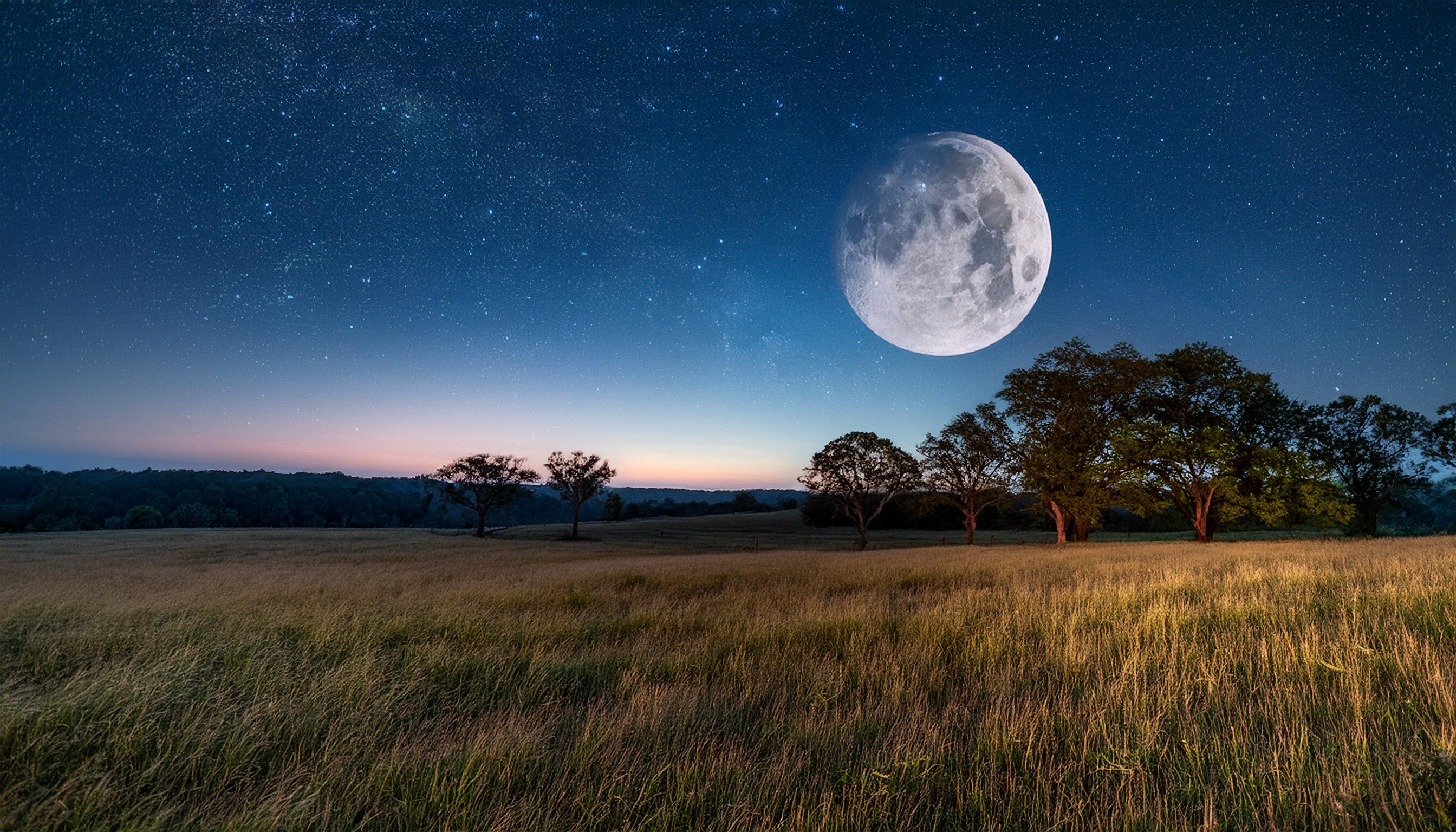 Guidelines and FAQs – Carolina Capital Homeschool Prom